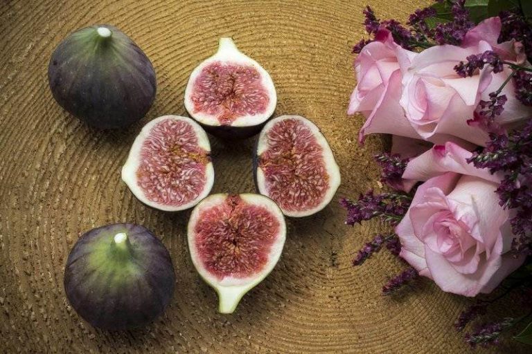 How to Grow a Fig Tree From the Fruit - Step To Step Guide